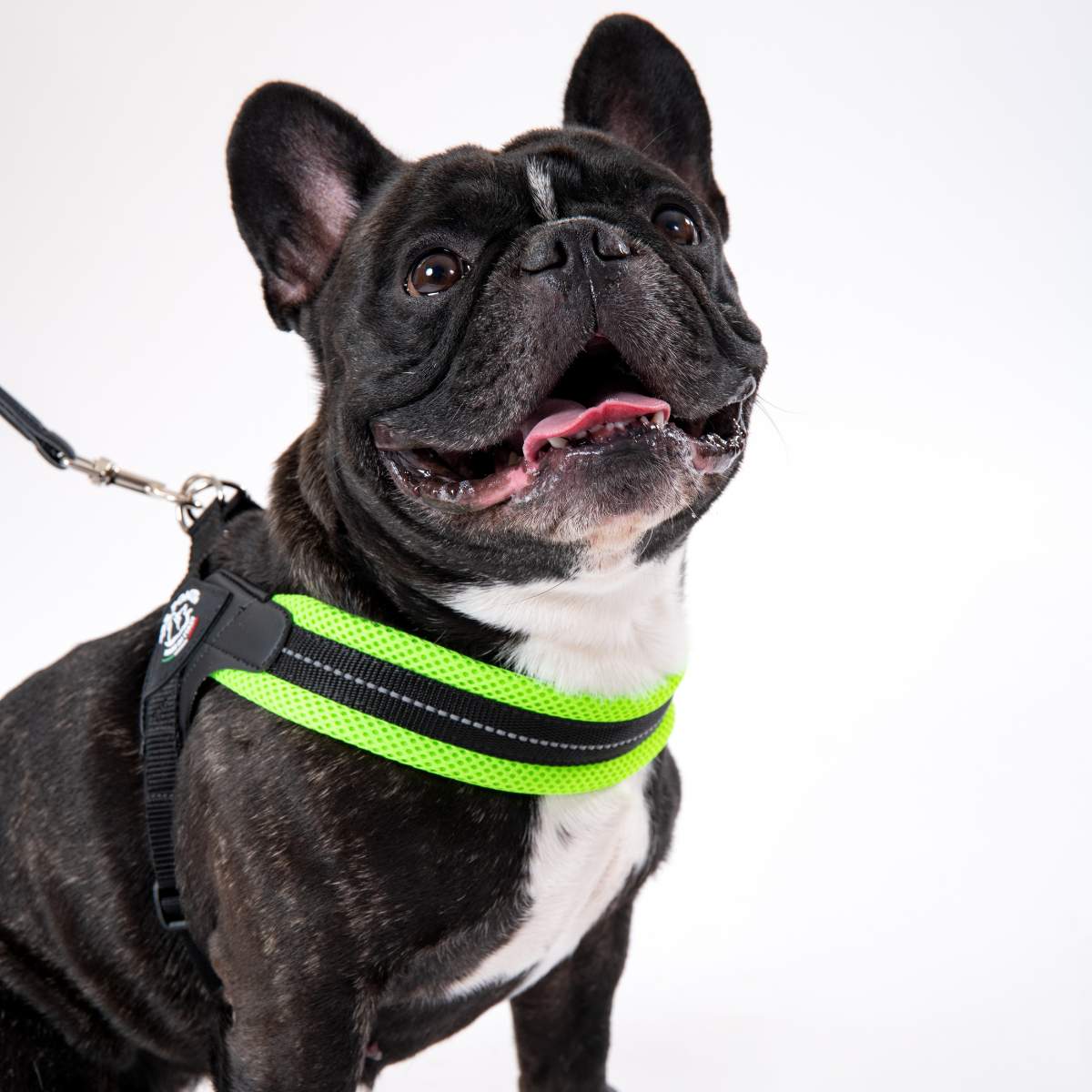 Tre Ponti - Home page EN